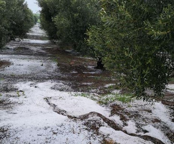 ΥΠΑΑΤ: 27 εκατ. ευρώ για εγκατάσταση δικτύων χαλαζικής προστασίας