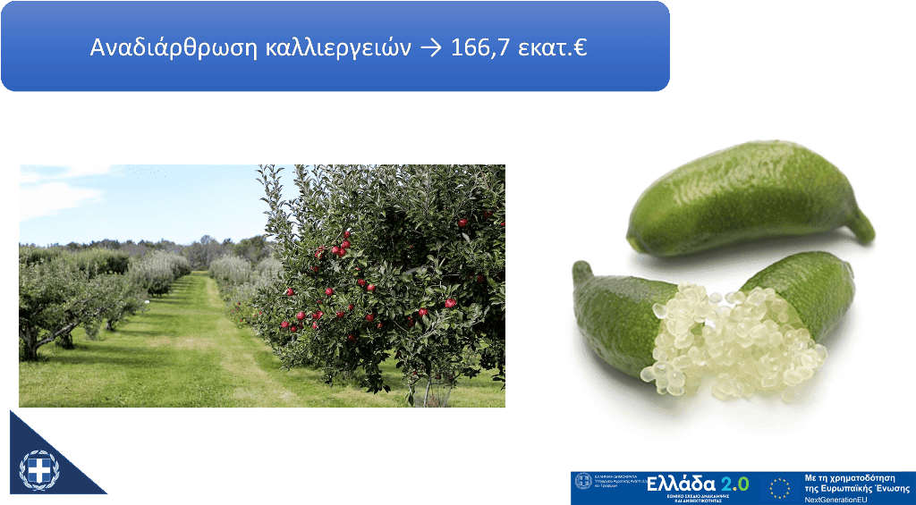 Όλη η Μελέτη για την Αναδιάρθρωση των Καλλιεργειών